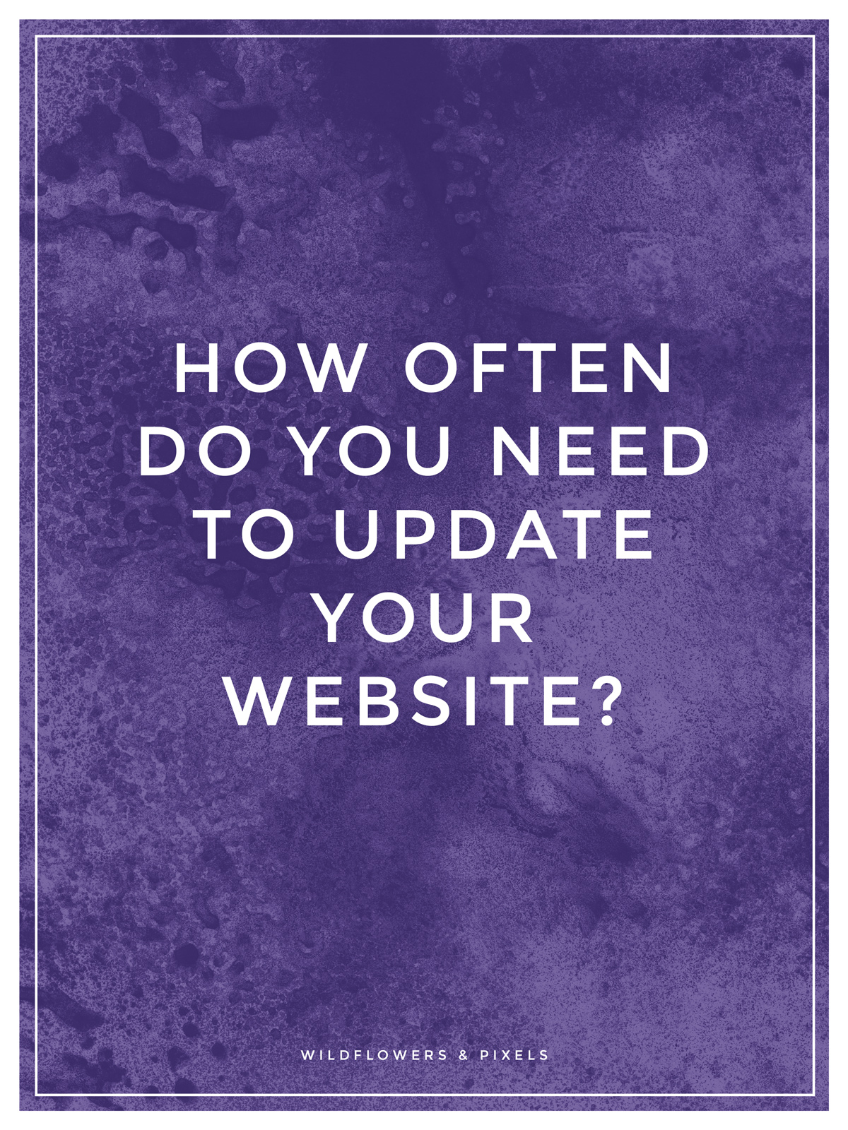 How Often Do You Need To Update Your Website?